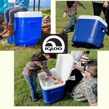 מחיר פסיכי לחלוטין! צידנית מתגלגלת 57 ליטרים Igloo 60-Quart Ice Cube Roller Cooler - קונים נכון ...